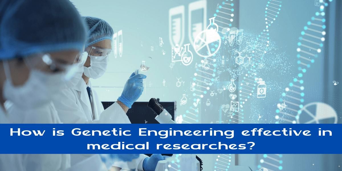 How is Genetic Engineering effective in medical researches?