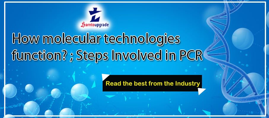 How molecular technologies function? ; Steps Involved in PCR