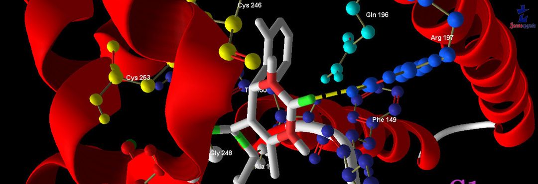 An Introduction to Molecular Docking